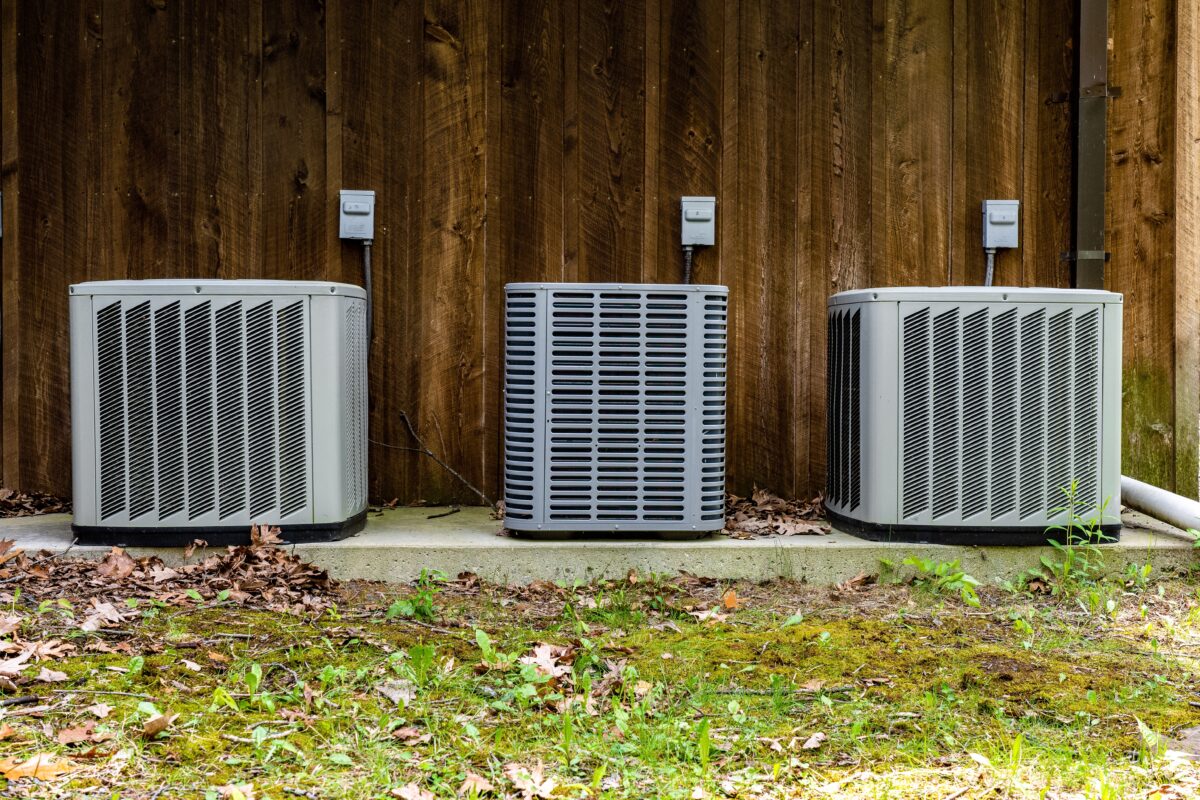 The Ultimate Guide to Summer Pest Prevention